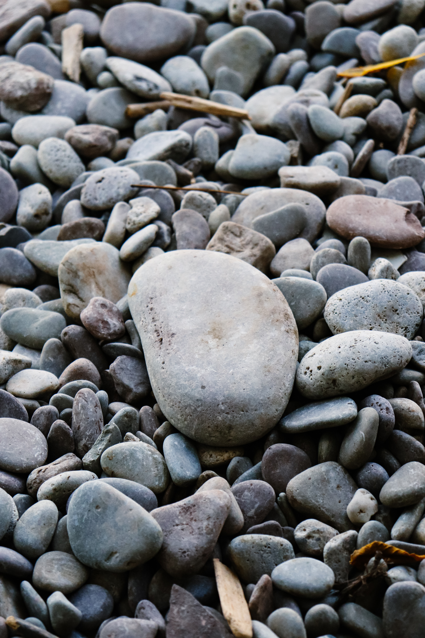 Ambassador Snapshot: South Shell Park scavenger hunt - Visit Oakville