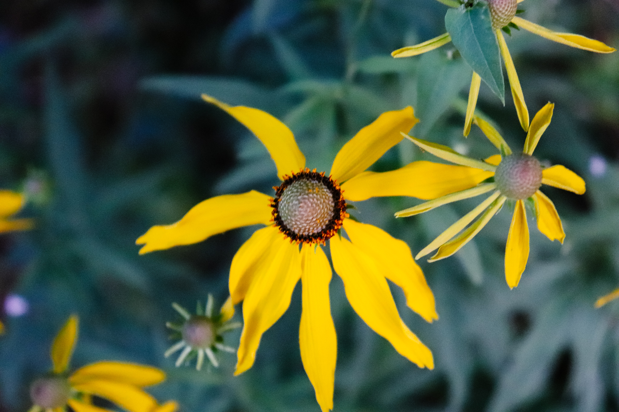 Ambassador Snapshot: South Shell Park scavenger hunt - Visit Oakville