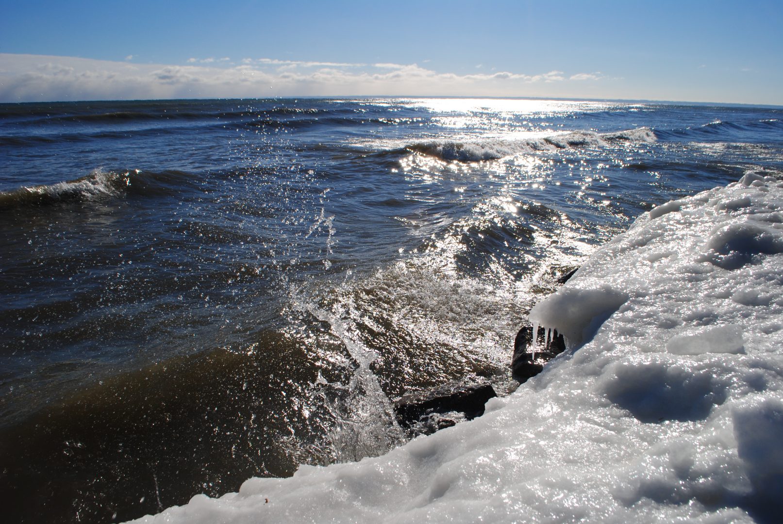 Ambassador Snapshot: Enjoying winter in Oakville's outdoors - Visit ...