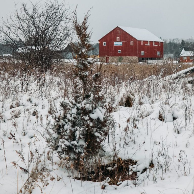 10 fun things to do with kids in Oakville - Visit Oakville