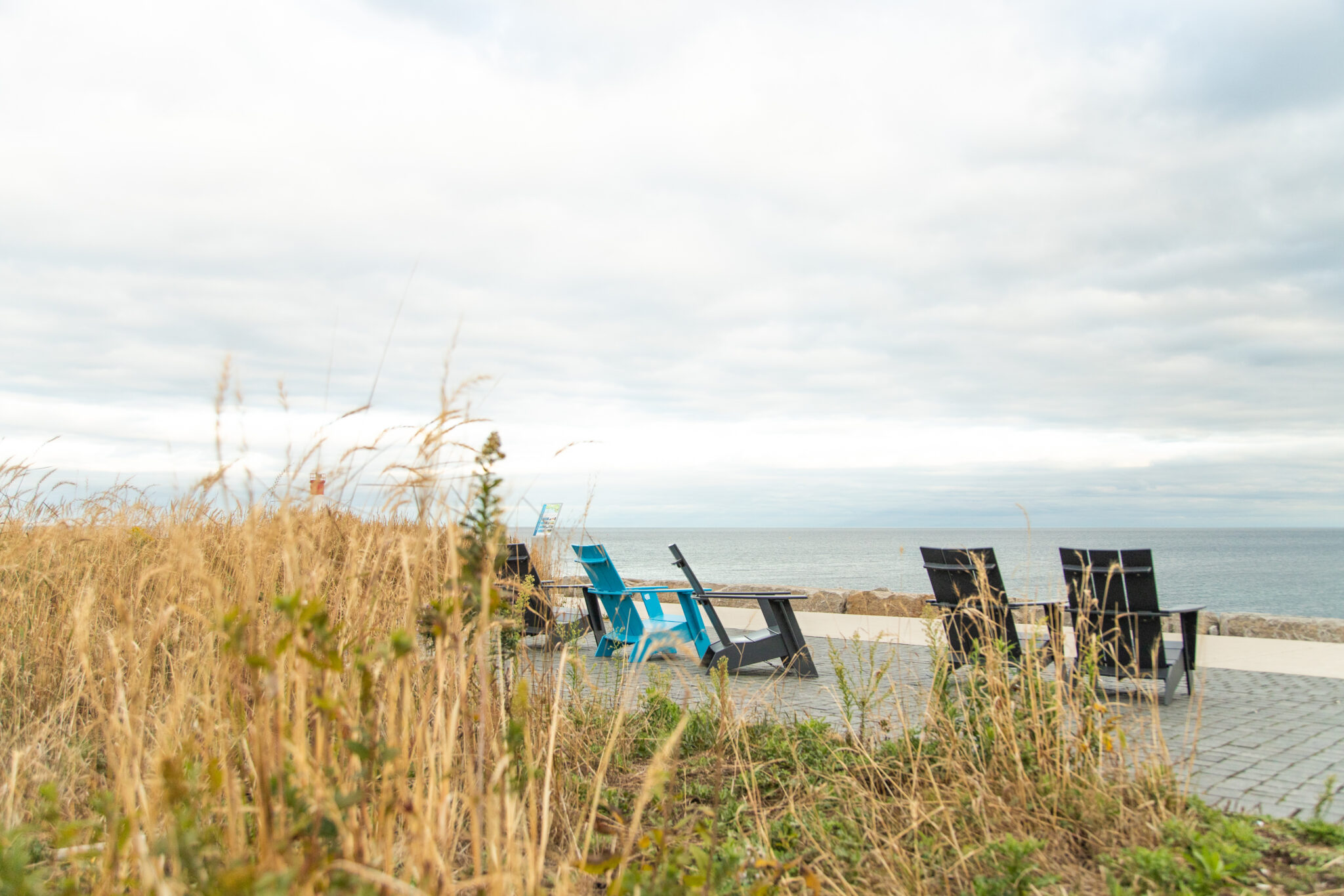 Nine picture perfect picnic spots in Oakville - Visit Oakville