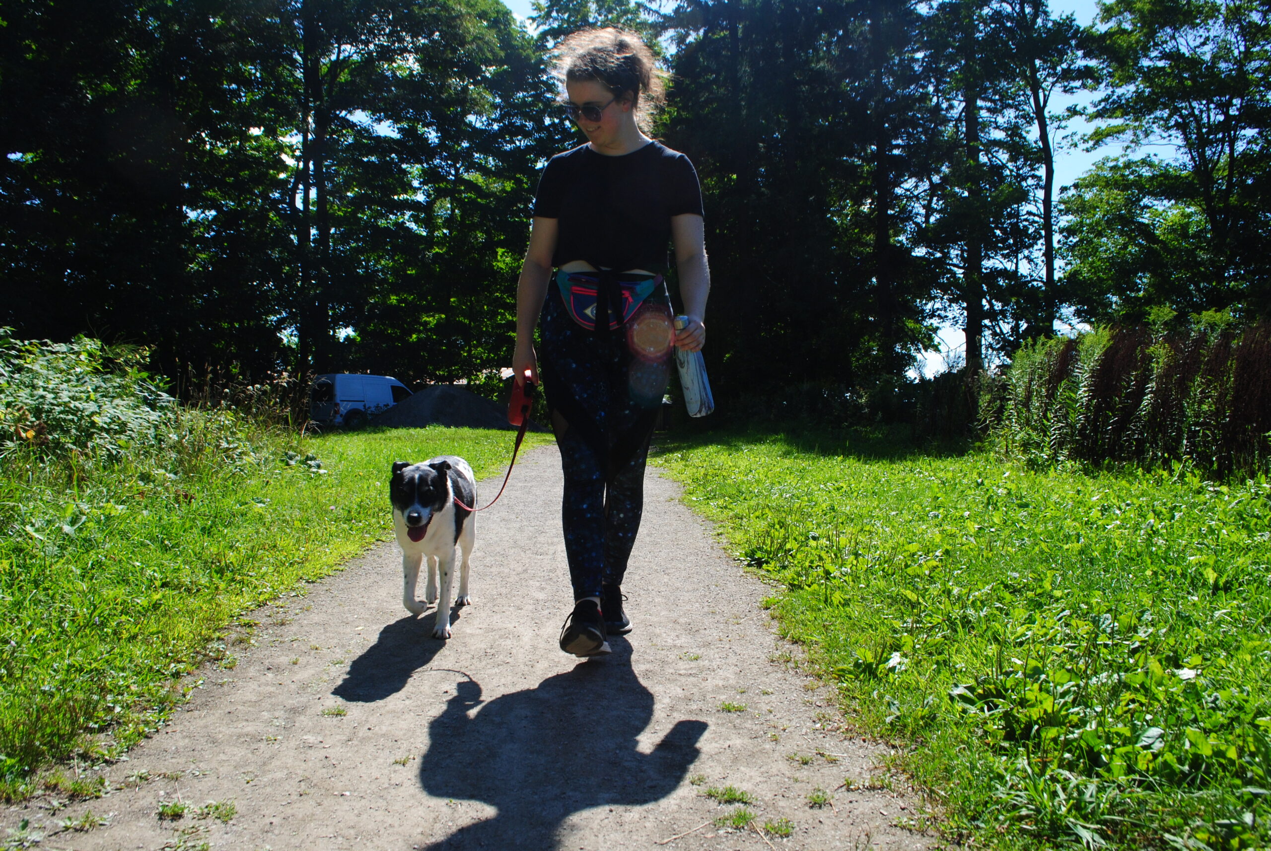 OAKVILLE'S FOUR BEST OFF-LEASH DOG PARKS - Visit Oakville