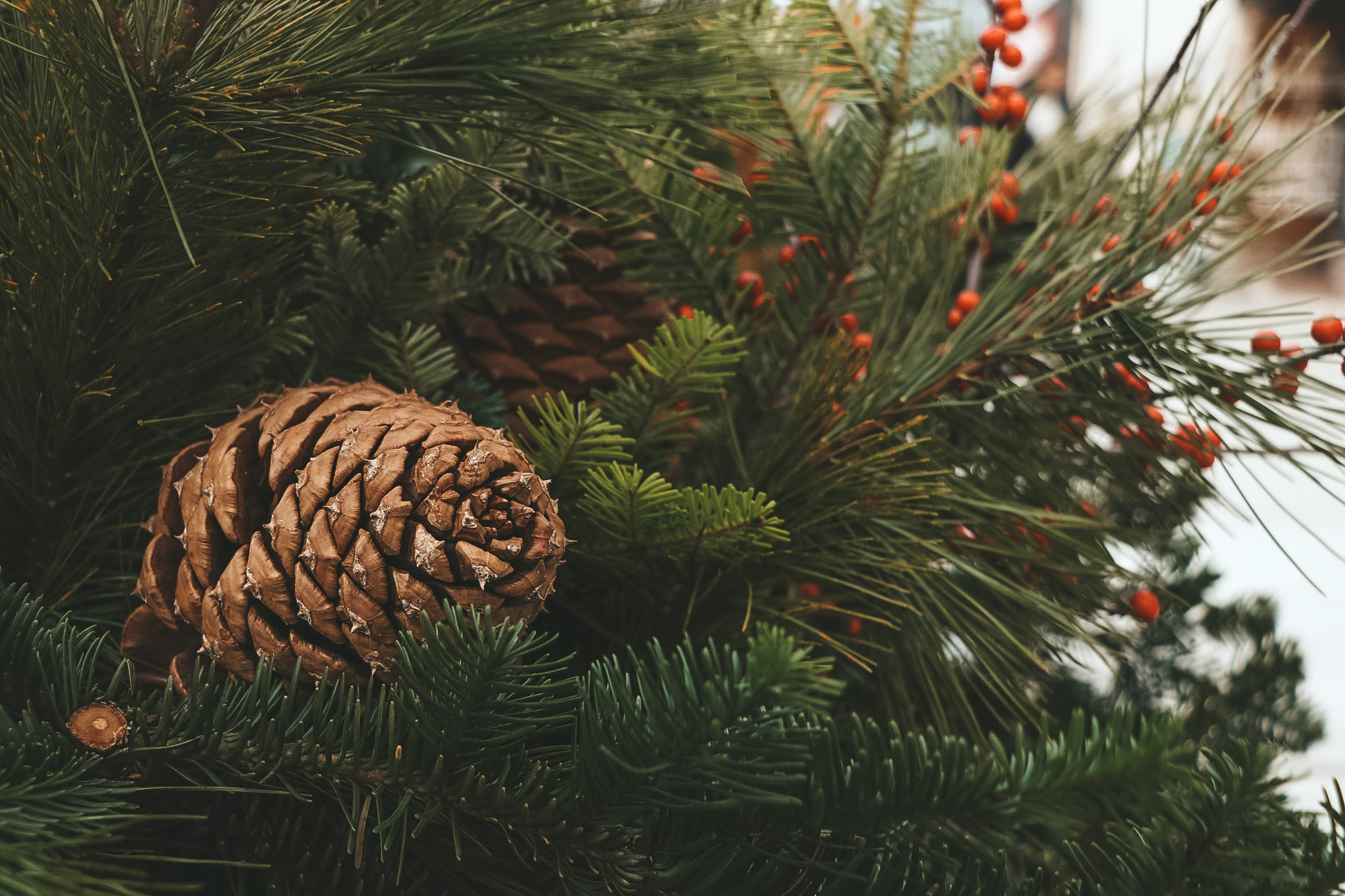 10 ways to get into the festive spirit this month in Oakville - Visit ...