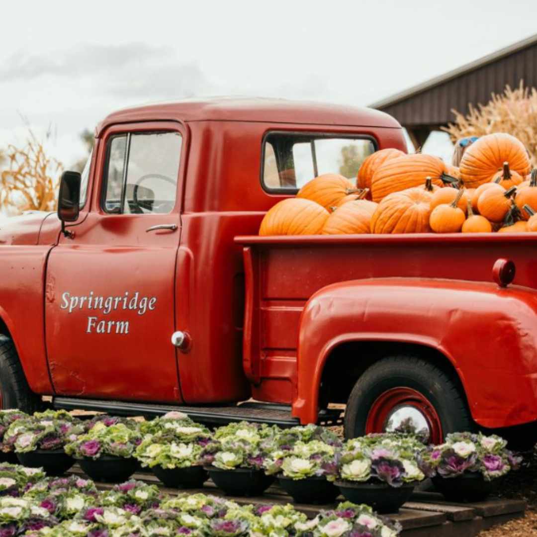 Thanksgiving in Oakville: A Weekend of Festivities and Fun - Visit Oakville